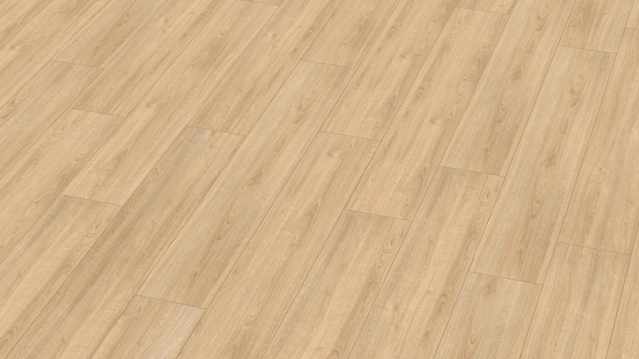 Laminat Egger Basic Charlotte Eiche natur Laminat Egger Basic Charlotte Eiche natur